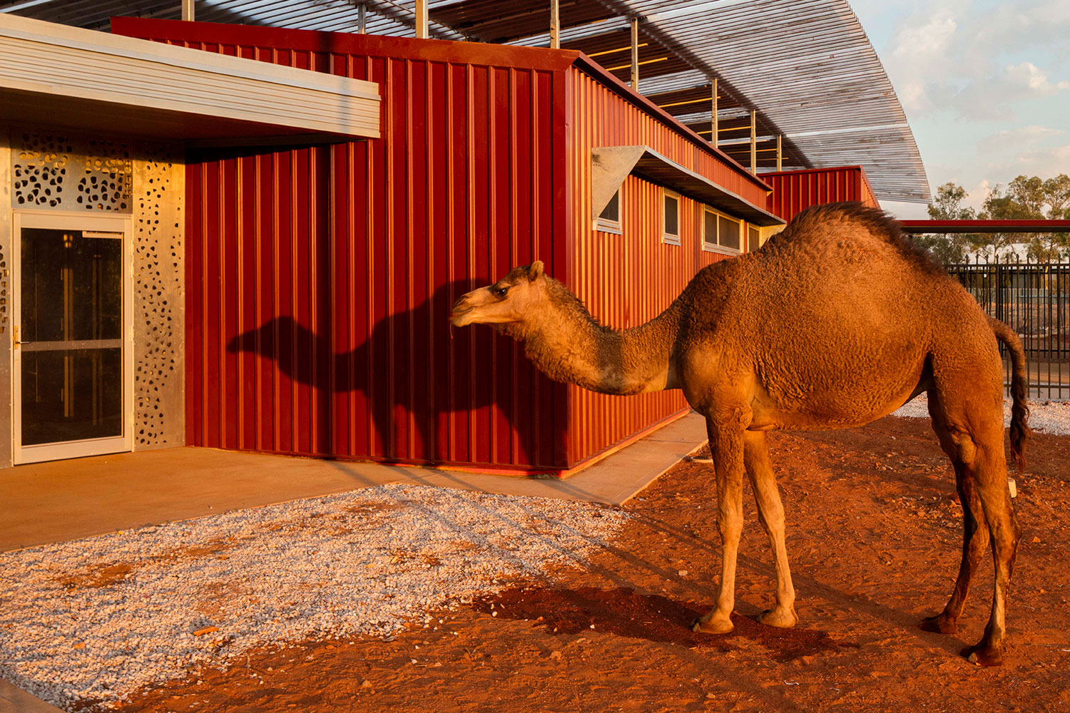 Punmu & Parnngurr Aboriginal Health Clinics - INDE.Awards | Our region ...