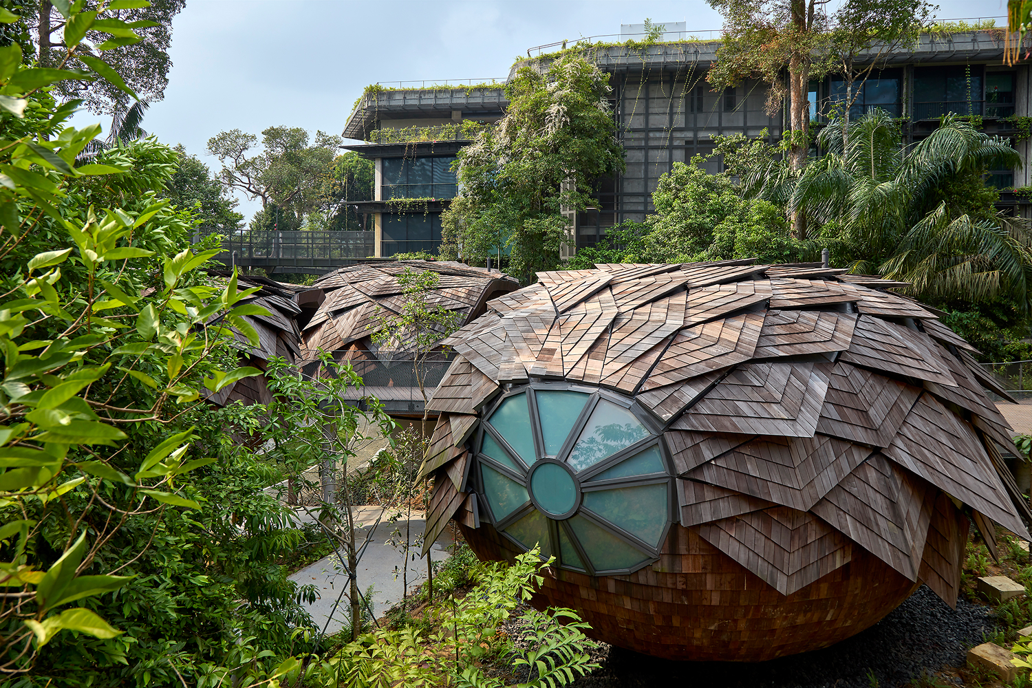 Mandai Rainforest Resort by Banyan Tree